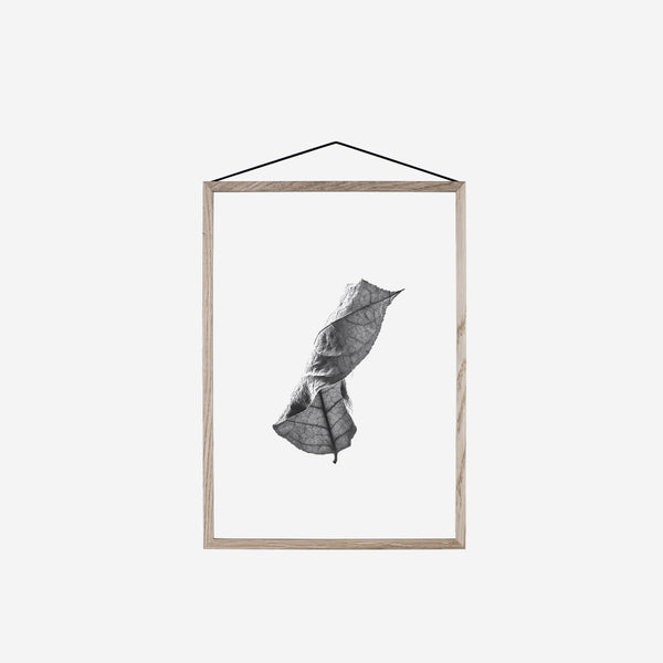 Moebe Floating Leaves Transparent Print 01 | Prints | Simple Form