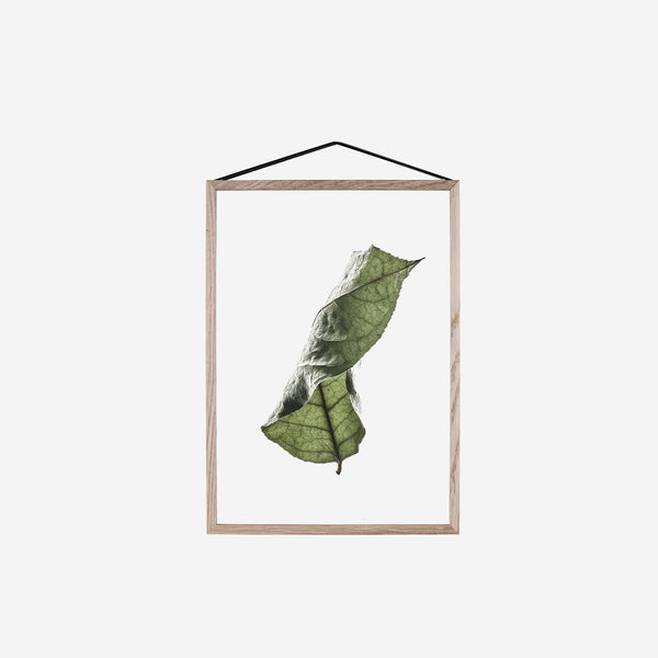 Moebe Floating Leaves Transparent Print 04 | Prints | Simple Form