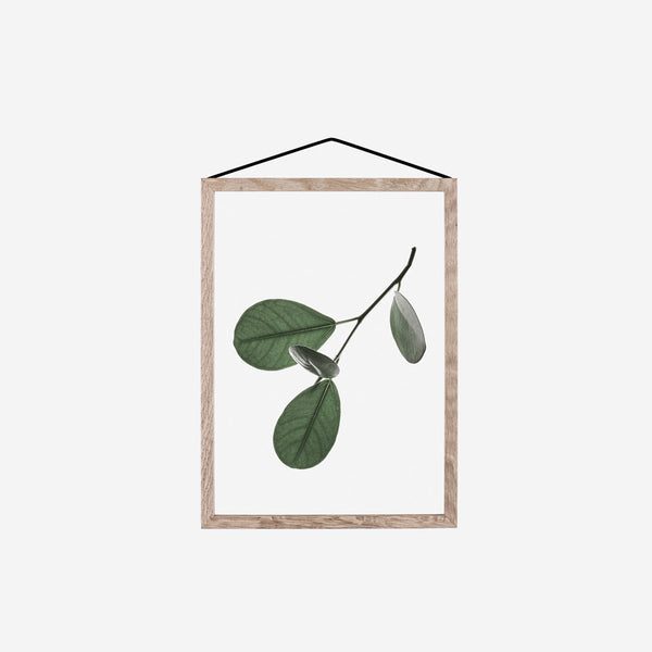 Moebe Floating Leaves Transparent Print 05 | Prints | Simple Form