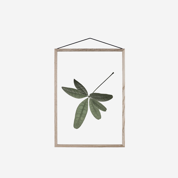 Moebe Floating Leaves Transparent Print 06 A5 | Prints | Simple Form