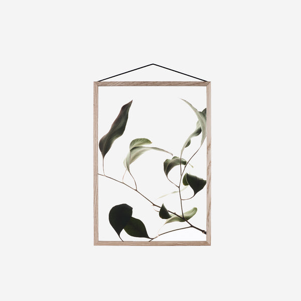 Moebe Floating Leaves Transparent Print 09 | Prints | Simpe Form